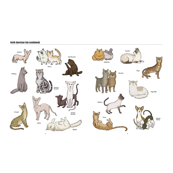 Big Cats, Little Cats: A Visual Guide to the World's Cats – Smooth Sales