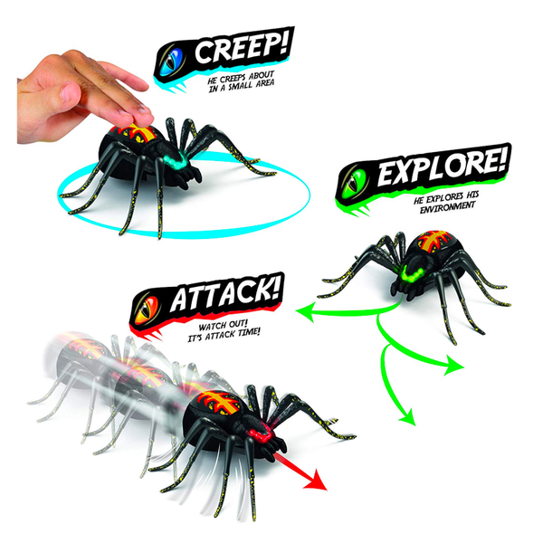 Wild Pets Spider Habitat – Smooth Sales